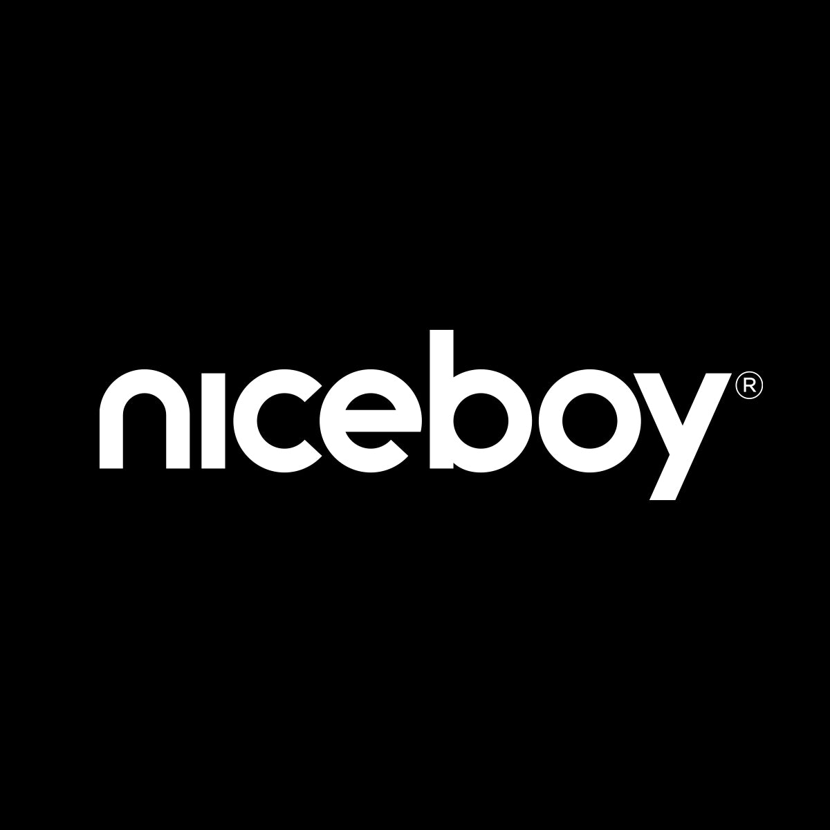 Akční kamery a kamery do auta Niceboy | 4K, GPS, radar | Niceboy®
